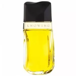 ESTEE LAUDER: Care, Perfume & Make-up - Parfumdo