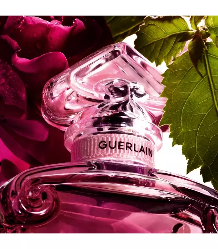 LA PETITE ROBE NOIRE Eau de Parfum Absolue - La Petite Robe Noire ...