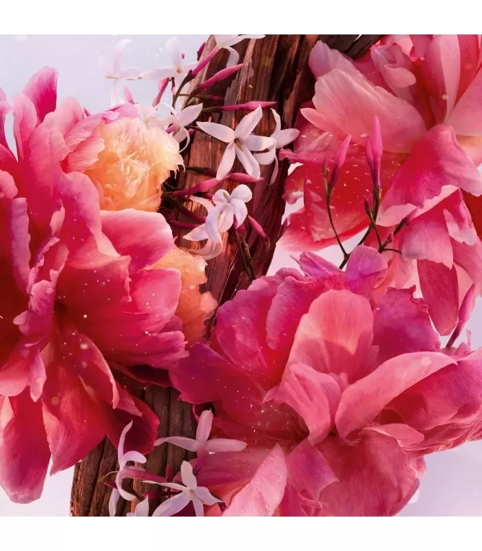 MISS DIOR Parfum: Intense floral, fruity and woody notes - Miss Dior ...